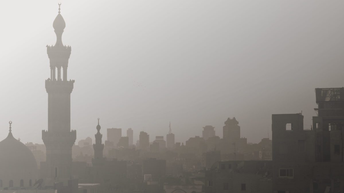 Radical's Training Program