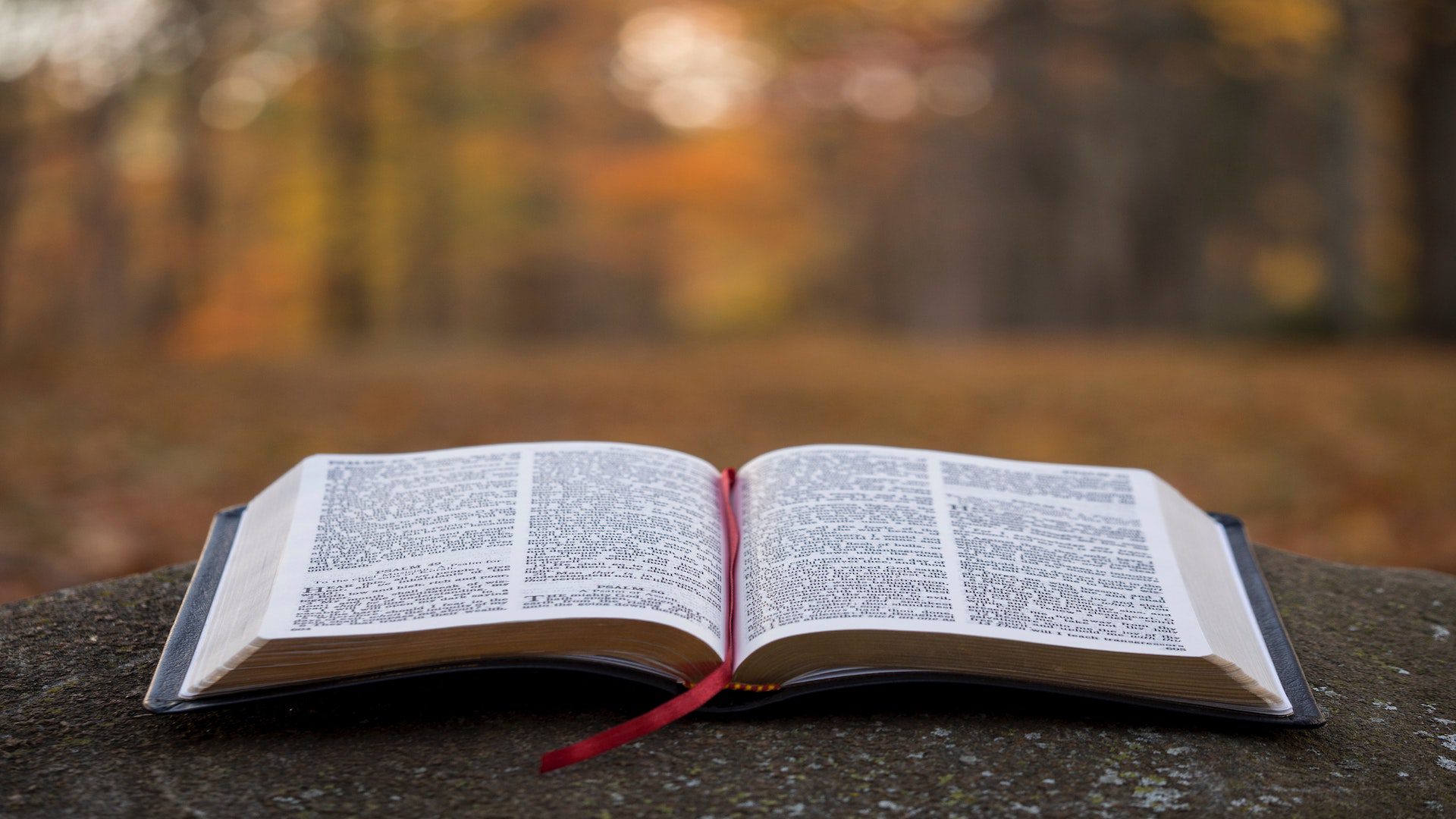 Why Study the Bible - Radical