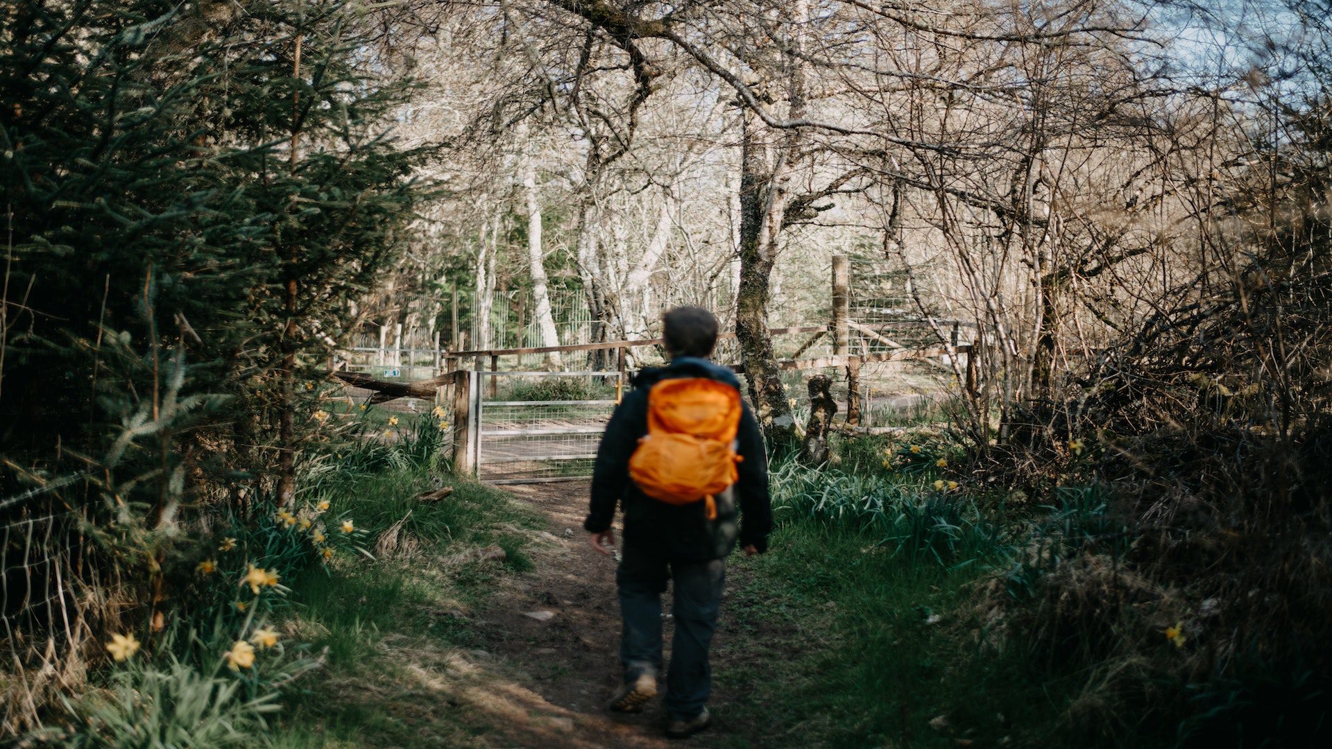 Our Hope is Not in Wealth (Psalm 73:28) - Radical