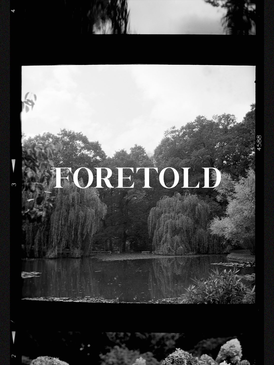 Foretold in the Old Testament - Radical