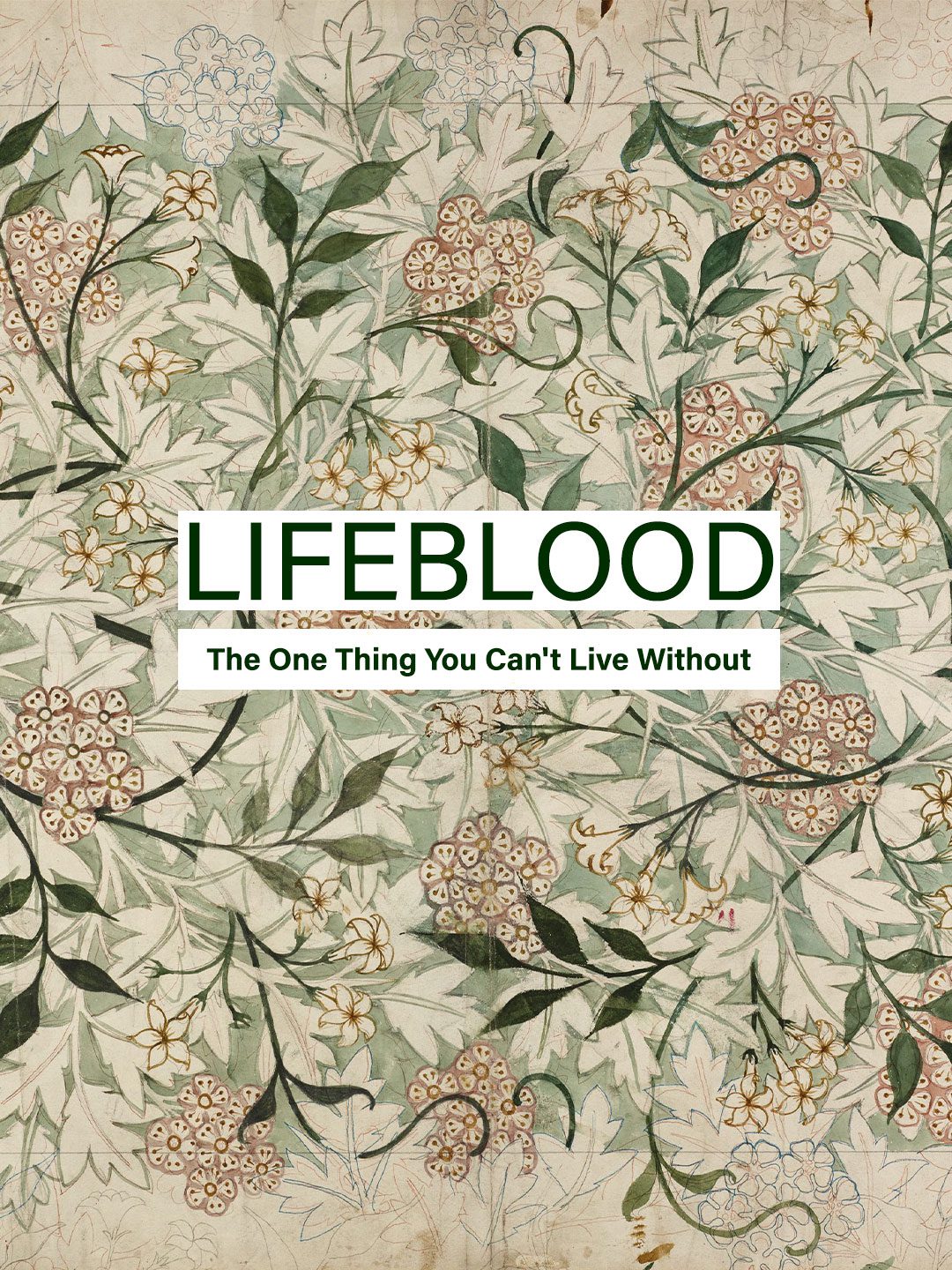 Lifeblood: The One Thing You Can't Live Without - Radical