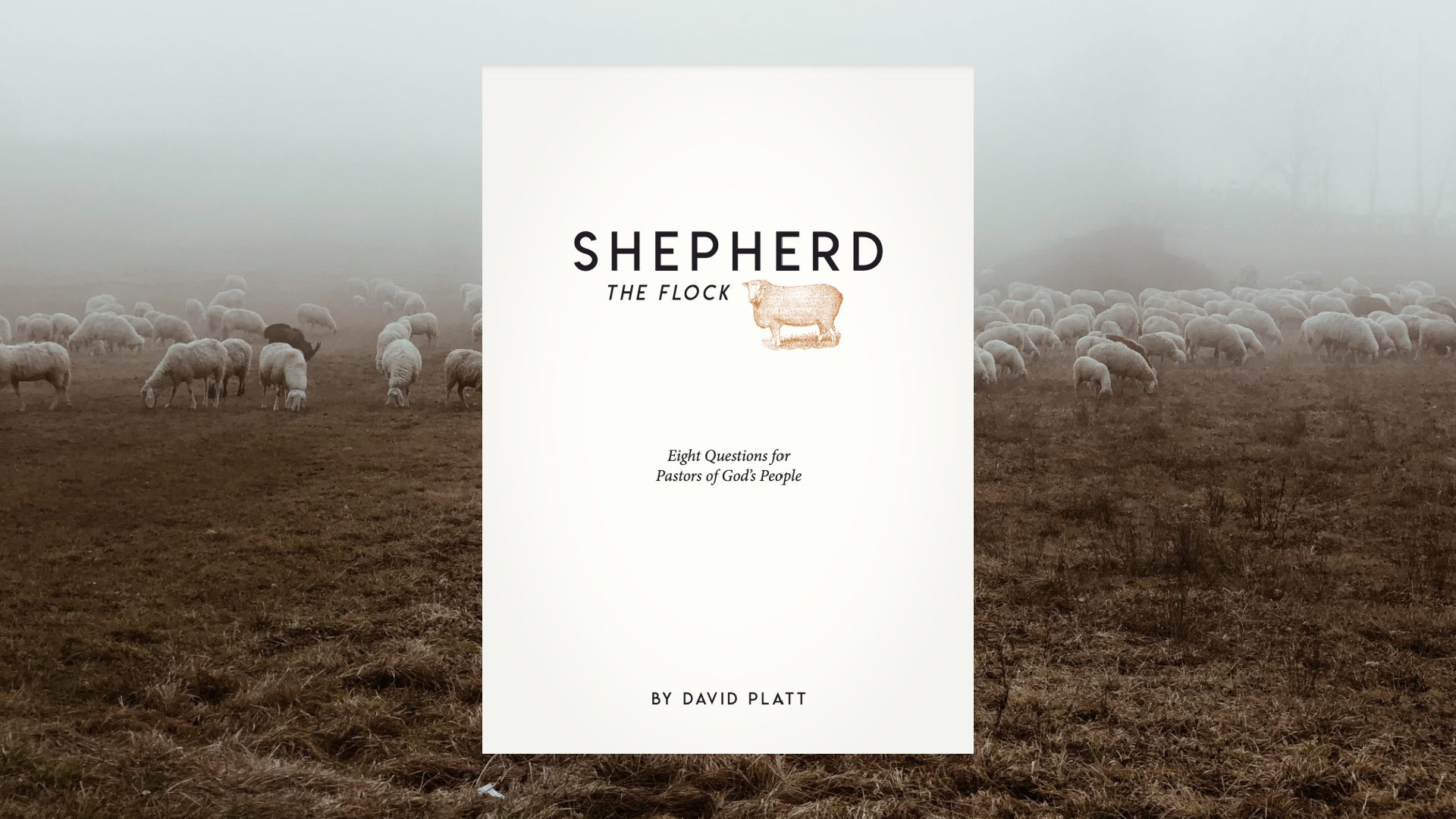 Shepherd the Flock by David Platt
