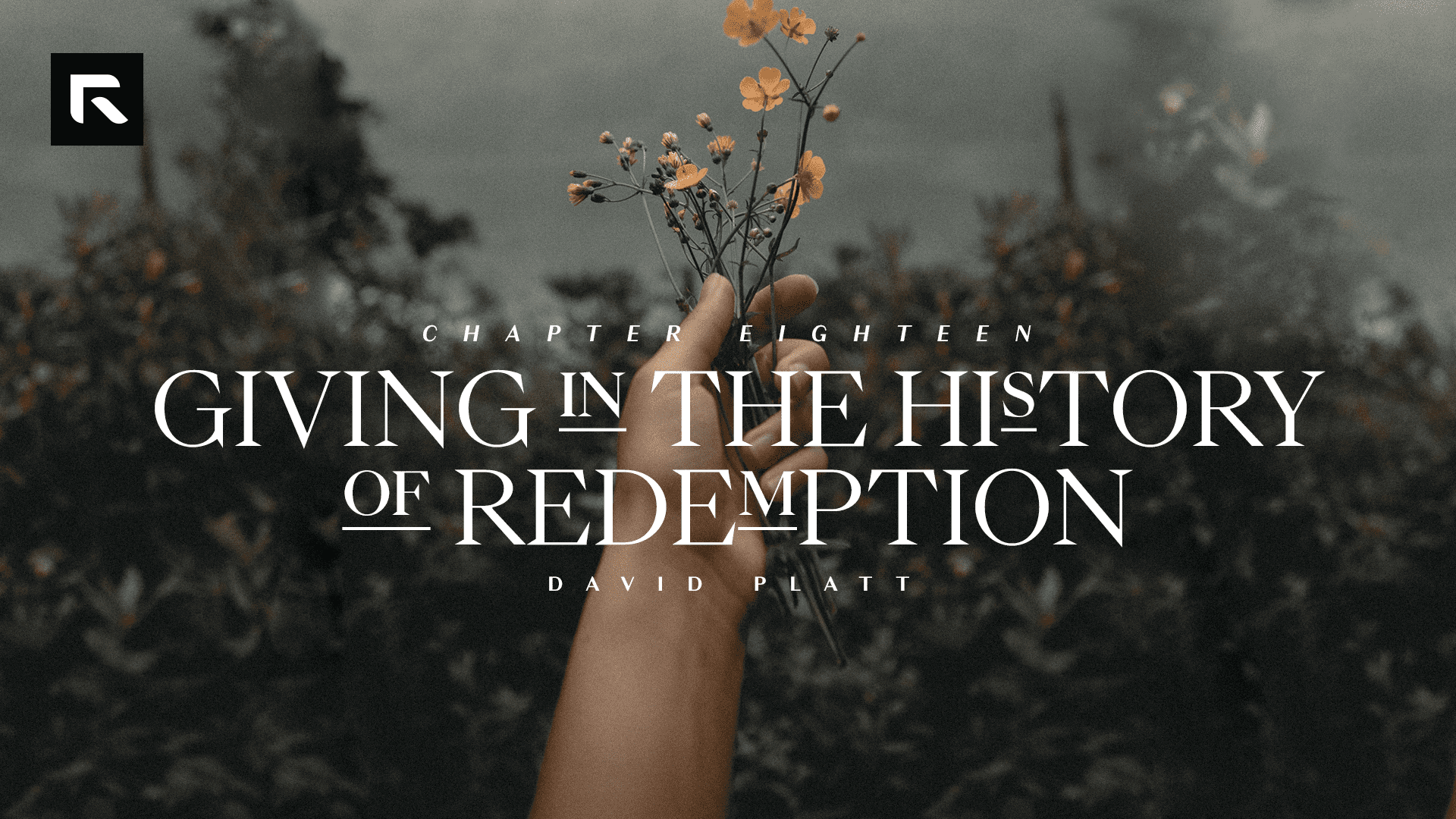 Chapter 18: Giving in the History of Redemption - Radical