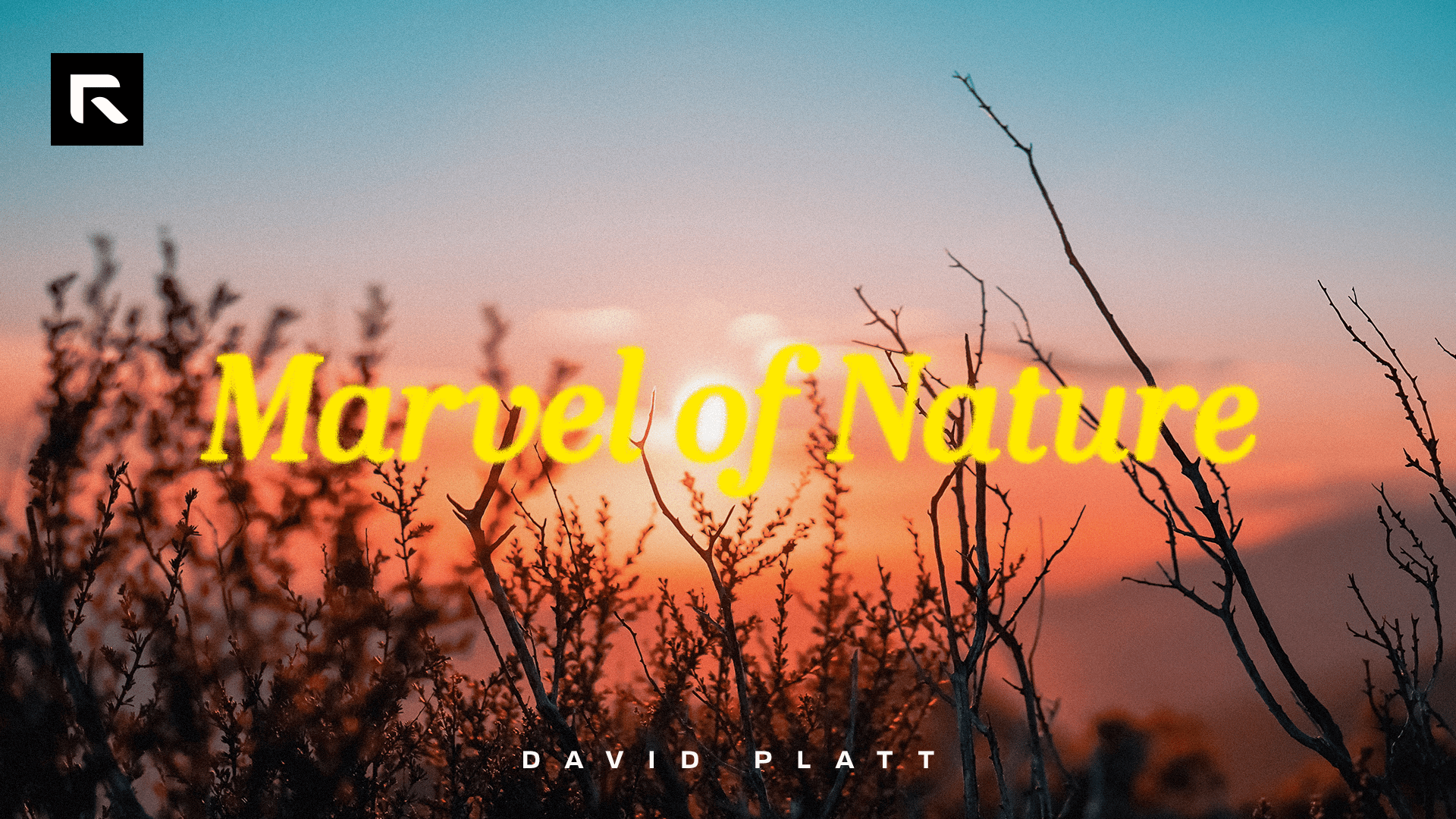 Marvel of Nature - Radical