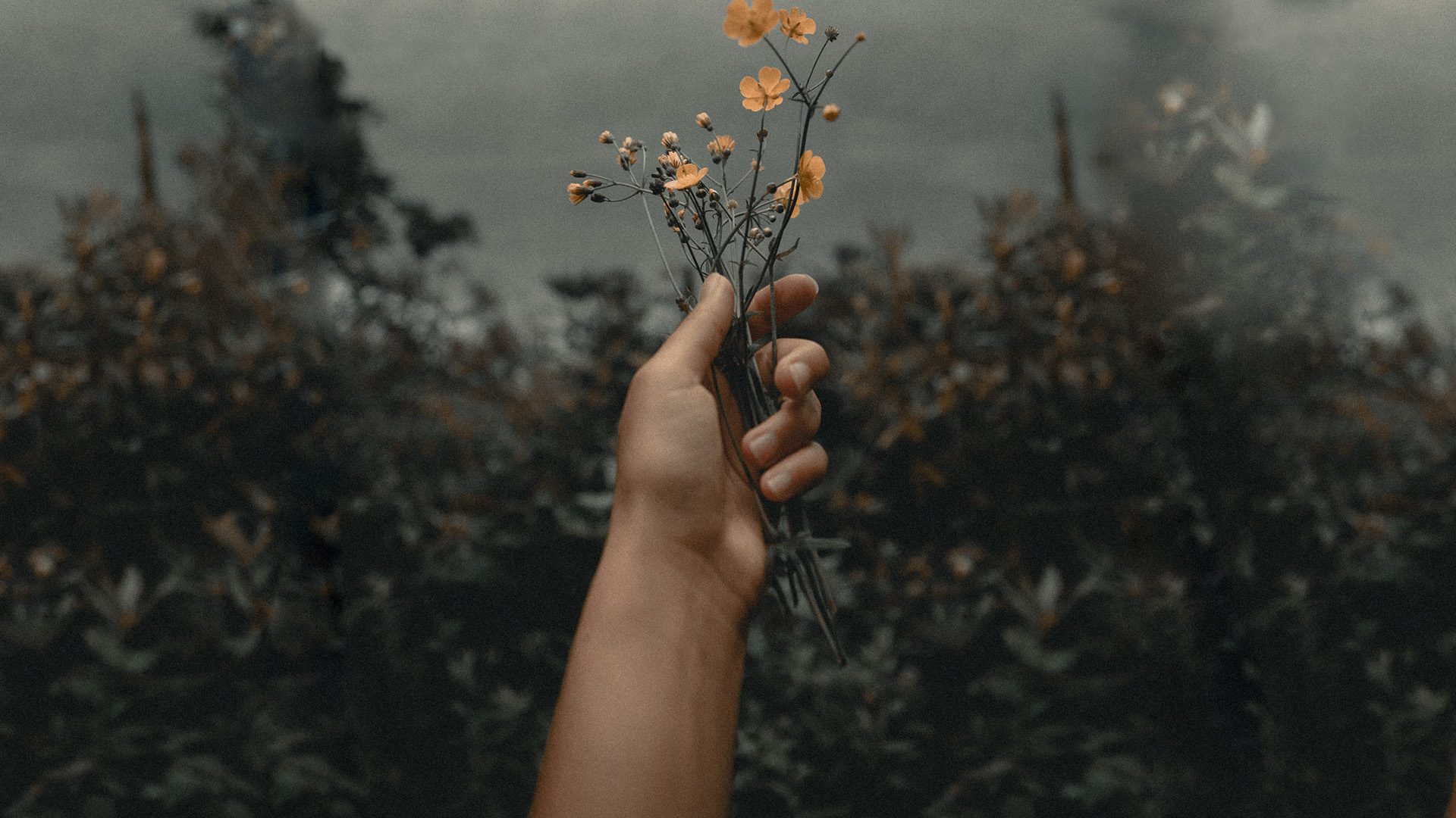 Chapter 18: Giving in the History of Redemption - Radical