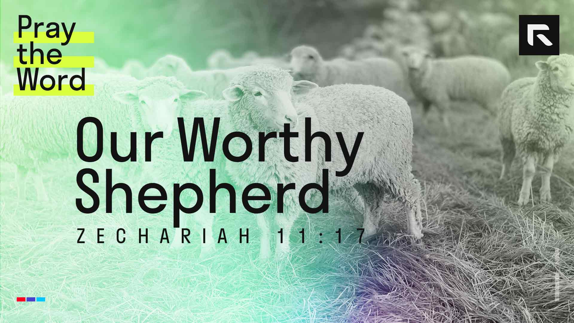Our Worthy Shepherd (Zechariah 11:17) - Radical