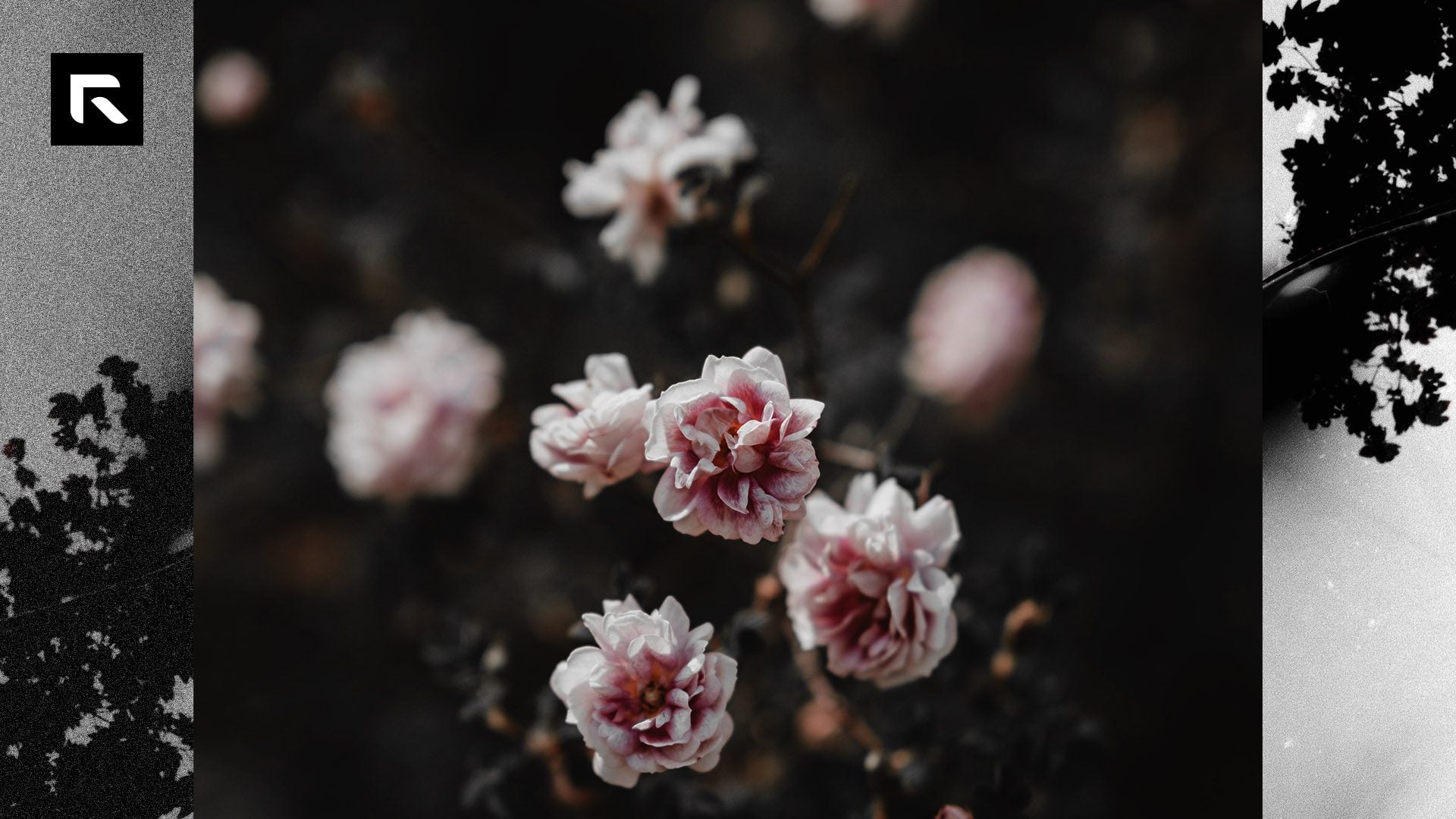 Abiding in Christ and Fruitful Christian Living - Radical