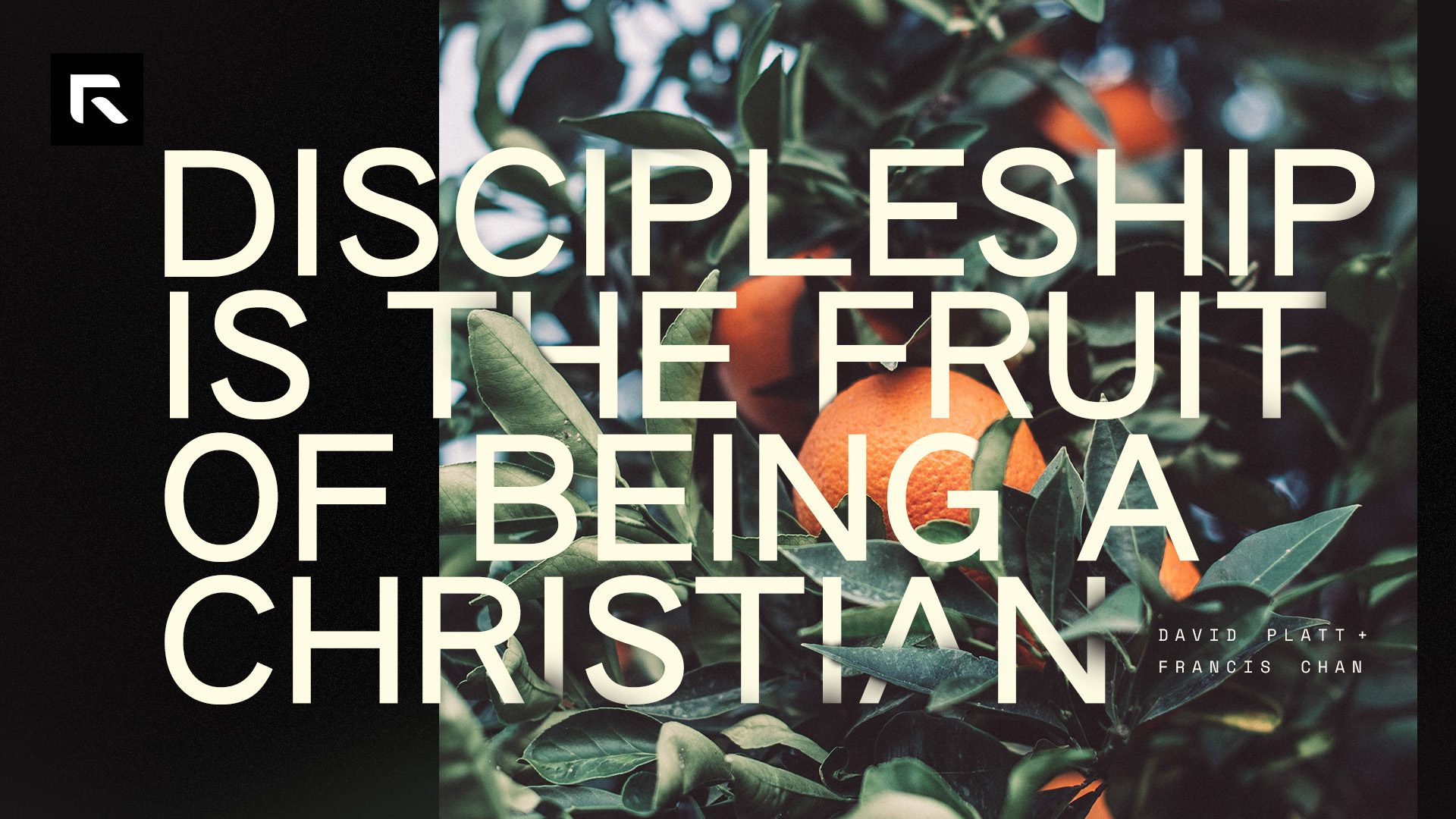 Discipleship is the Fruit of Being a Christian – Radical