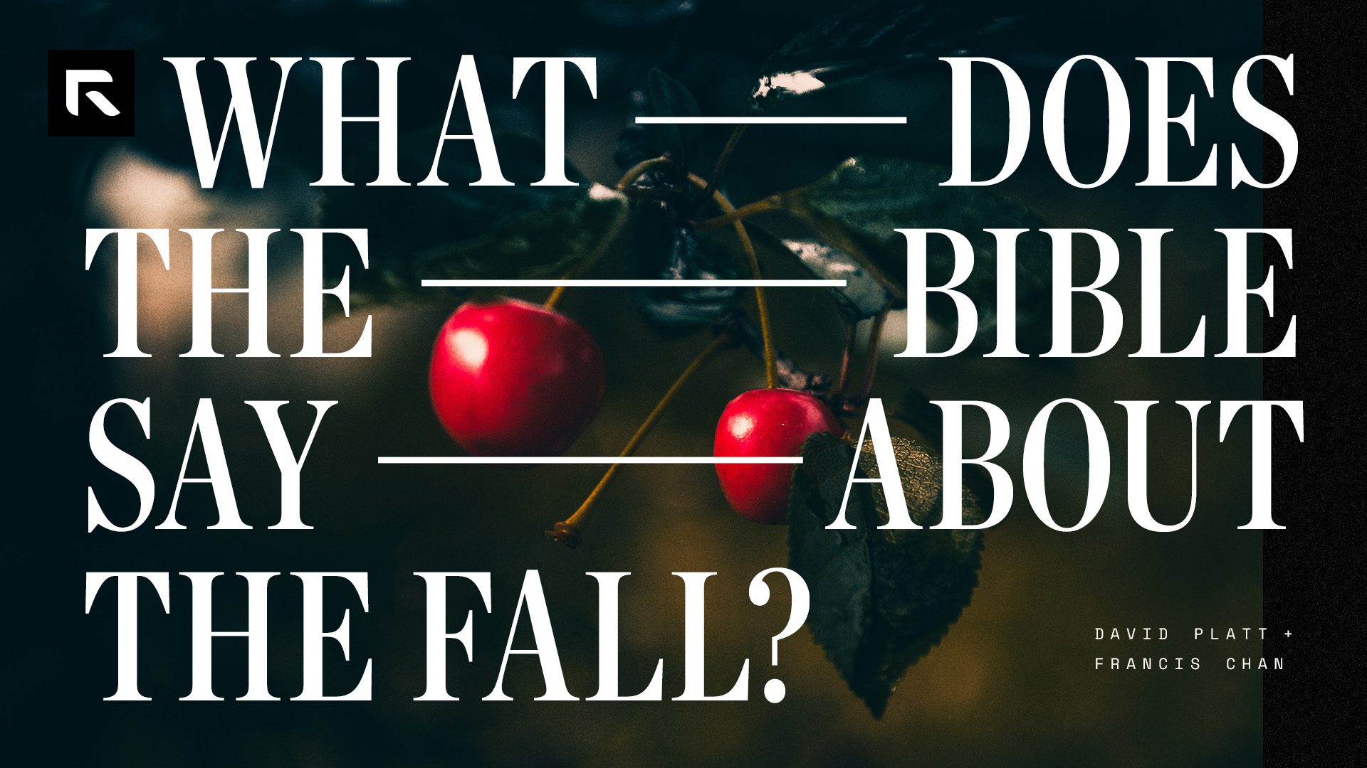 Watch – Docuseries and Media Resources from Radical