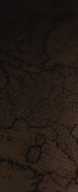 Radical's Training Program