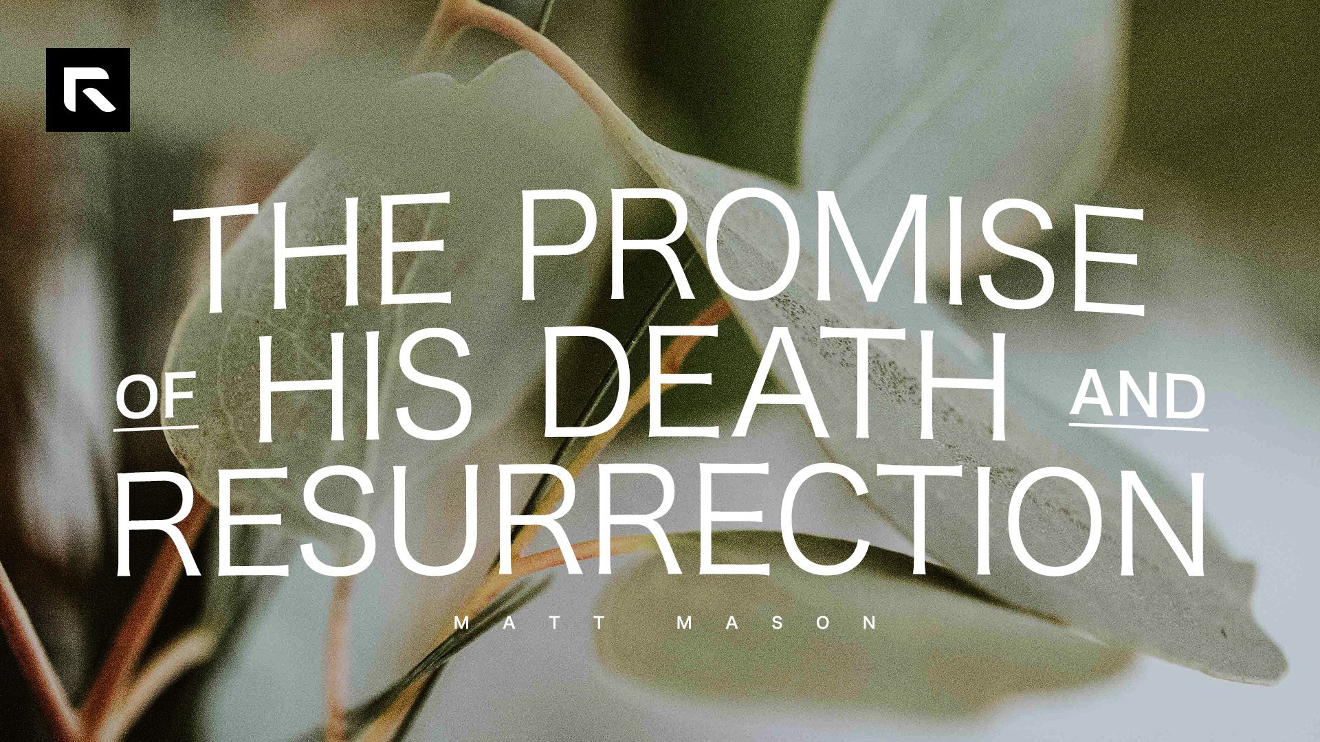 The Promise of His Death and Resurrection - Radical