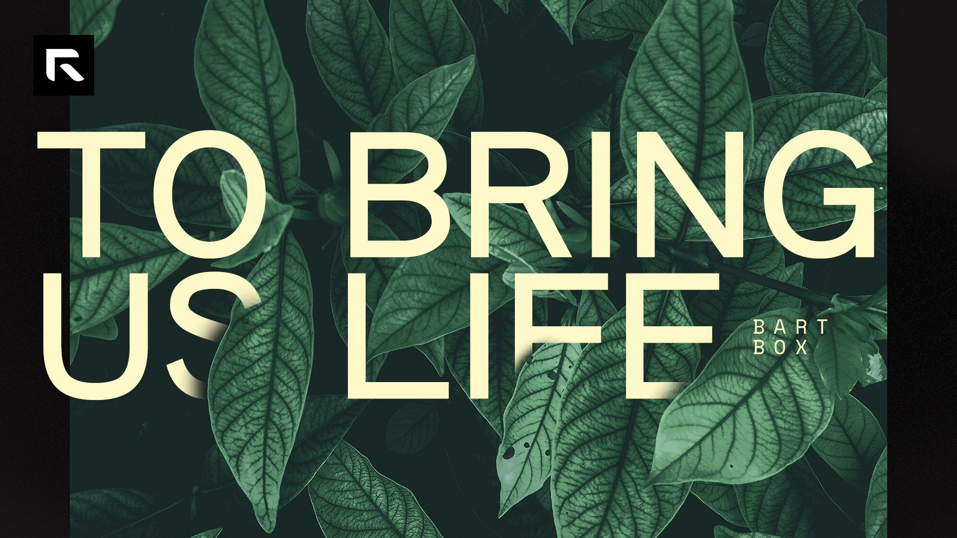 To Bring Us Life - Radical