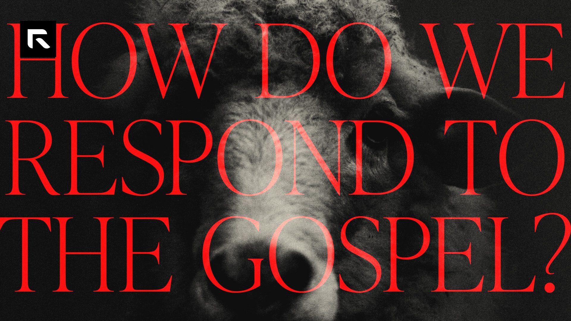 Watch – Docuseries and Media Resources from Radical