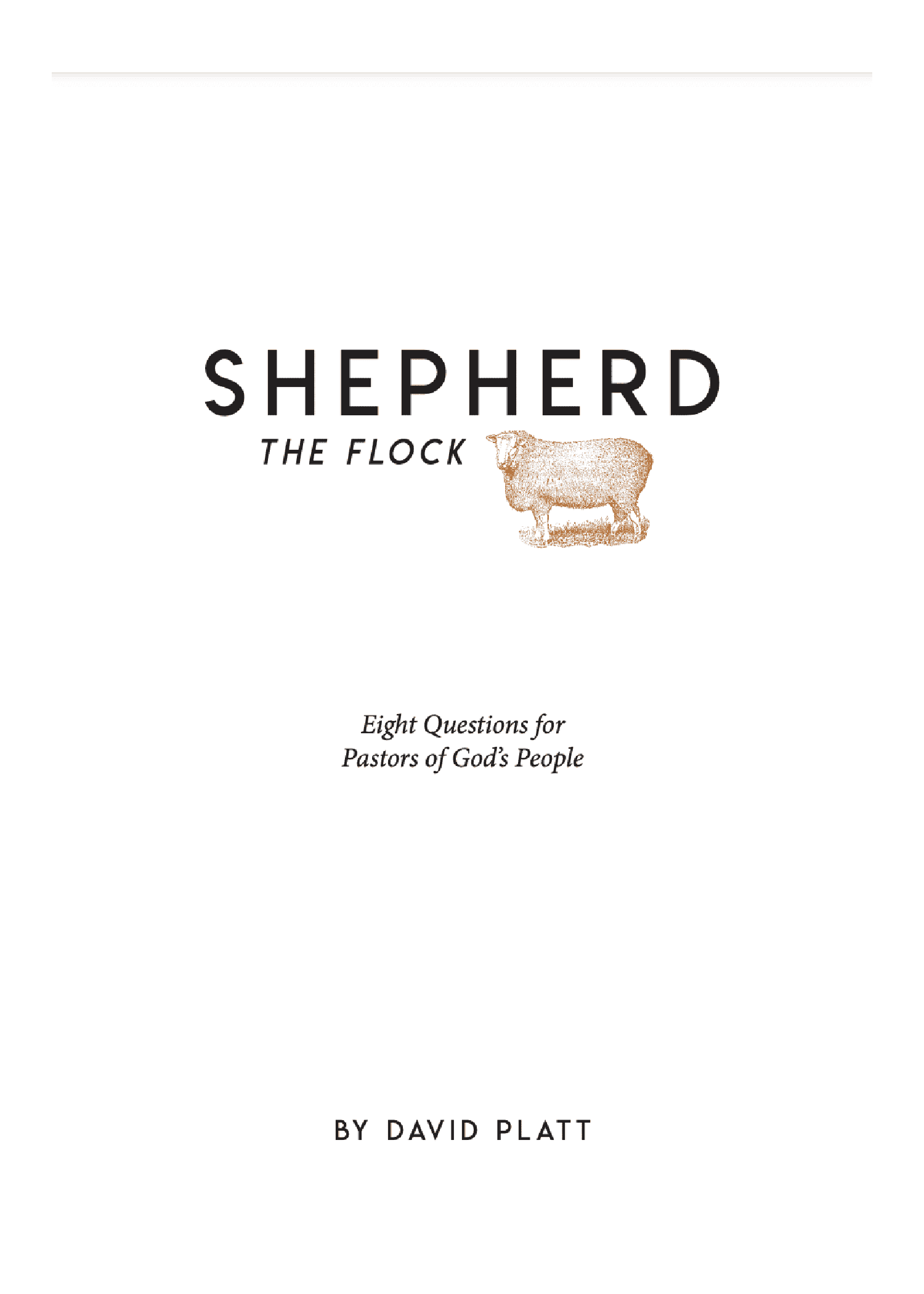 Shepherd the Flock by David Platt