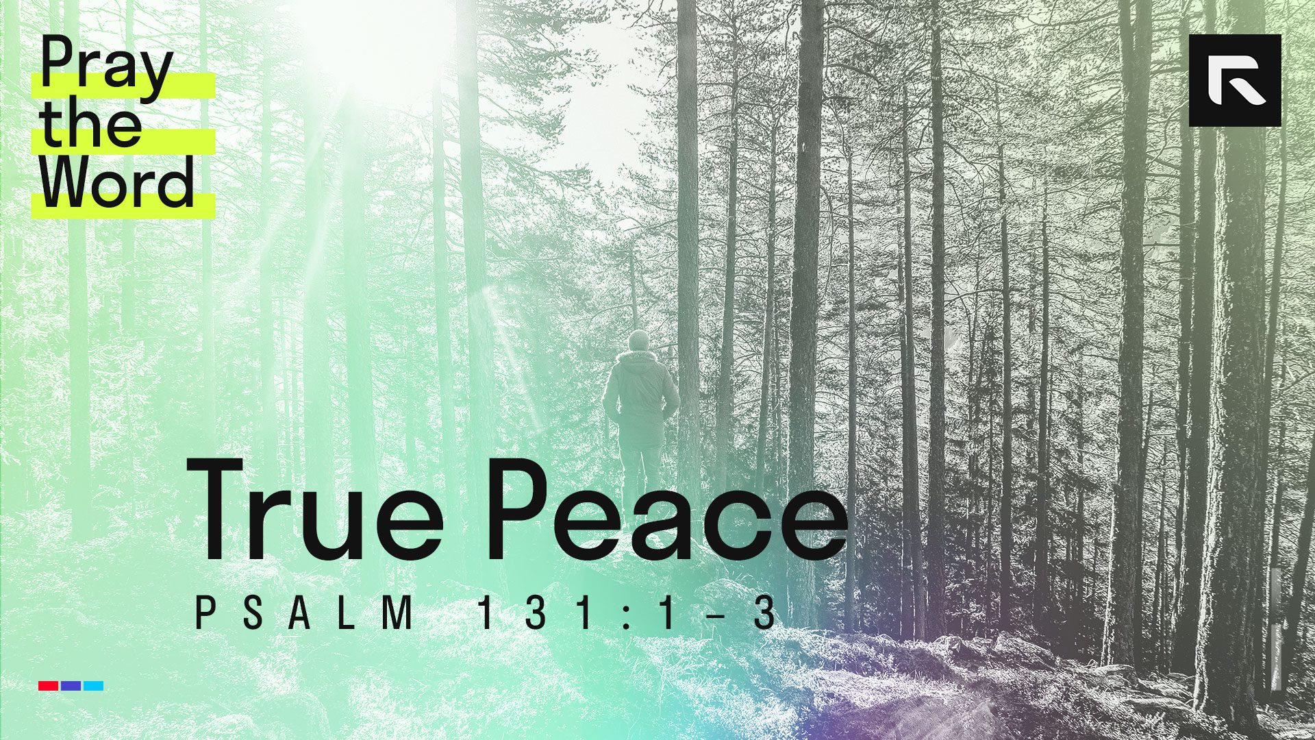 True Peace (Psalm 131:1–3) - Radical