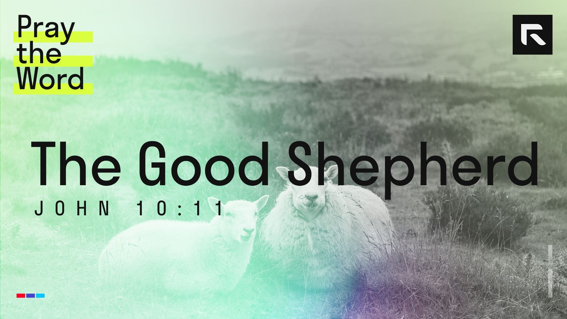 The Good Shepherd (John 10:11) – Radical