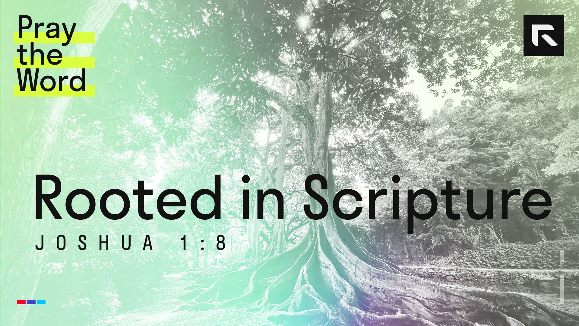 Rooted in Scripture (Joshua 1:8) - Radical