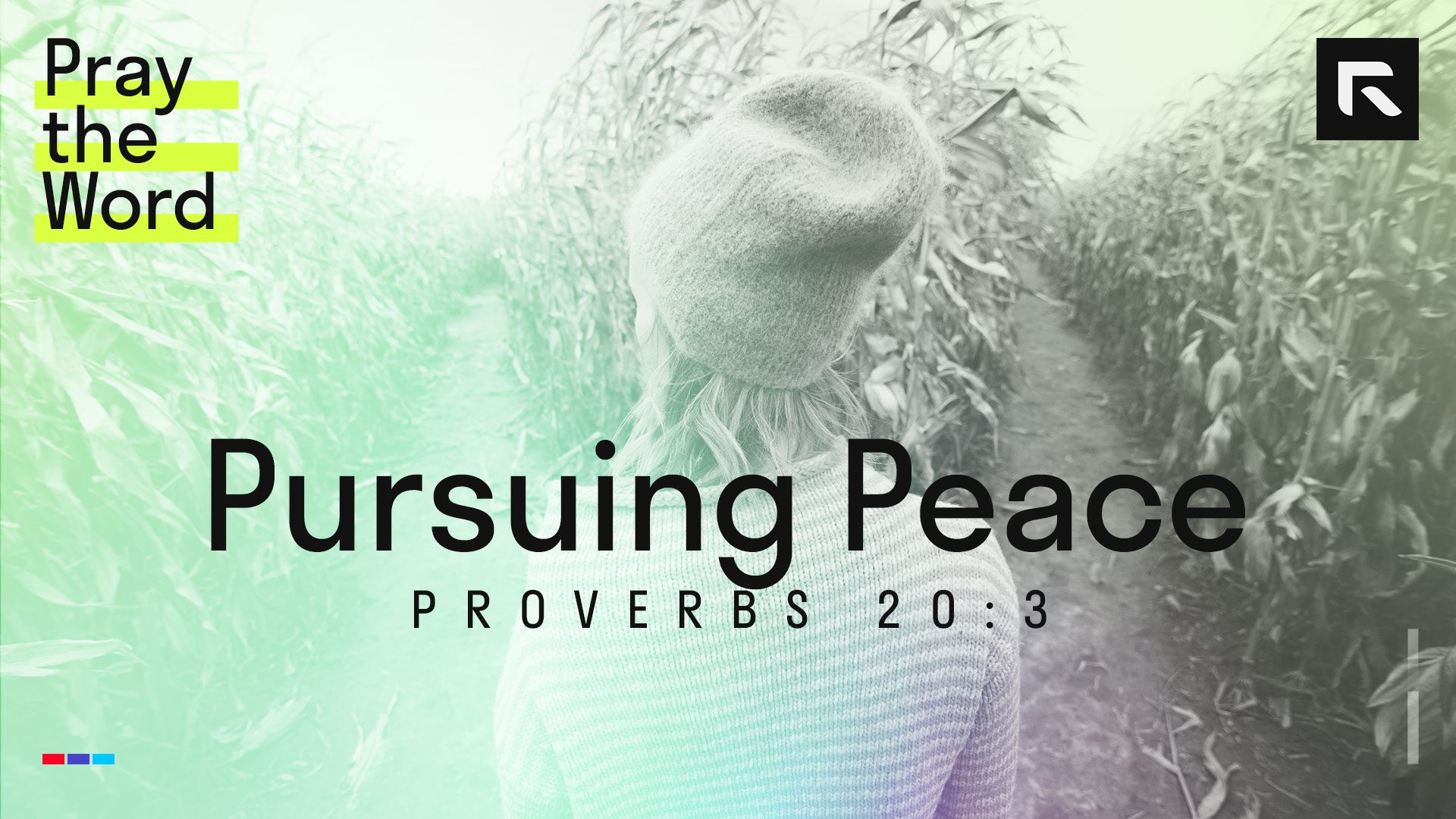 Pursuing Peace (Proverbs 20:3) – Radical