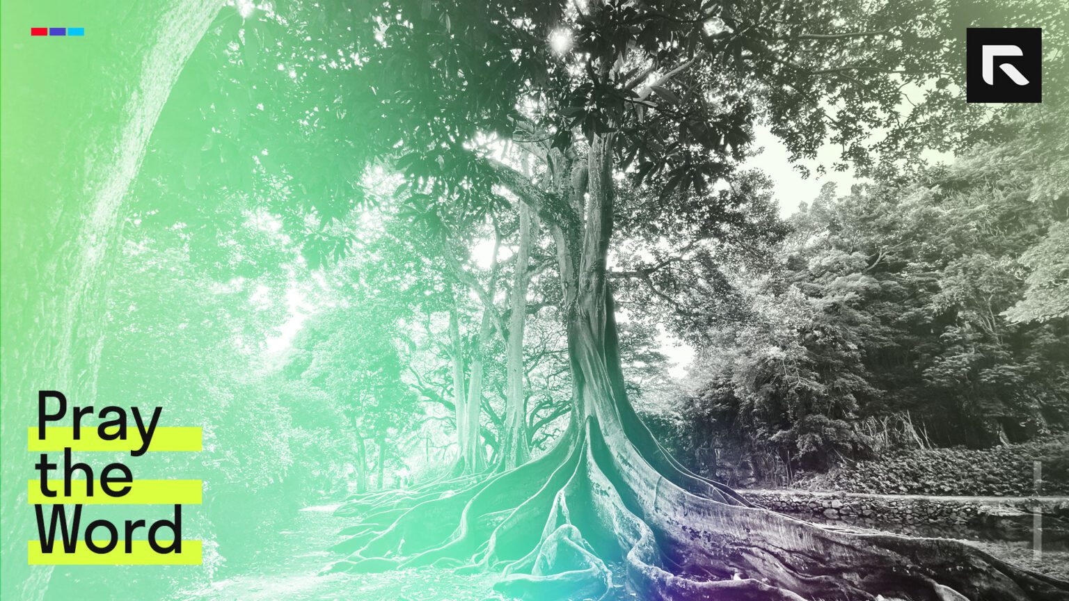 Rooted and Built in Christ (Colossians 2:6–7) - Radical