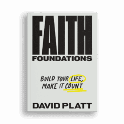 Radical: Taking Back Your Faith from the American Dream